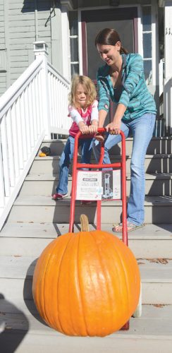 Pumpkin pulling | News, Sports, Jobs - Altoona Mirror